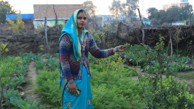 Humana People to People Foundation - Home